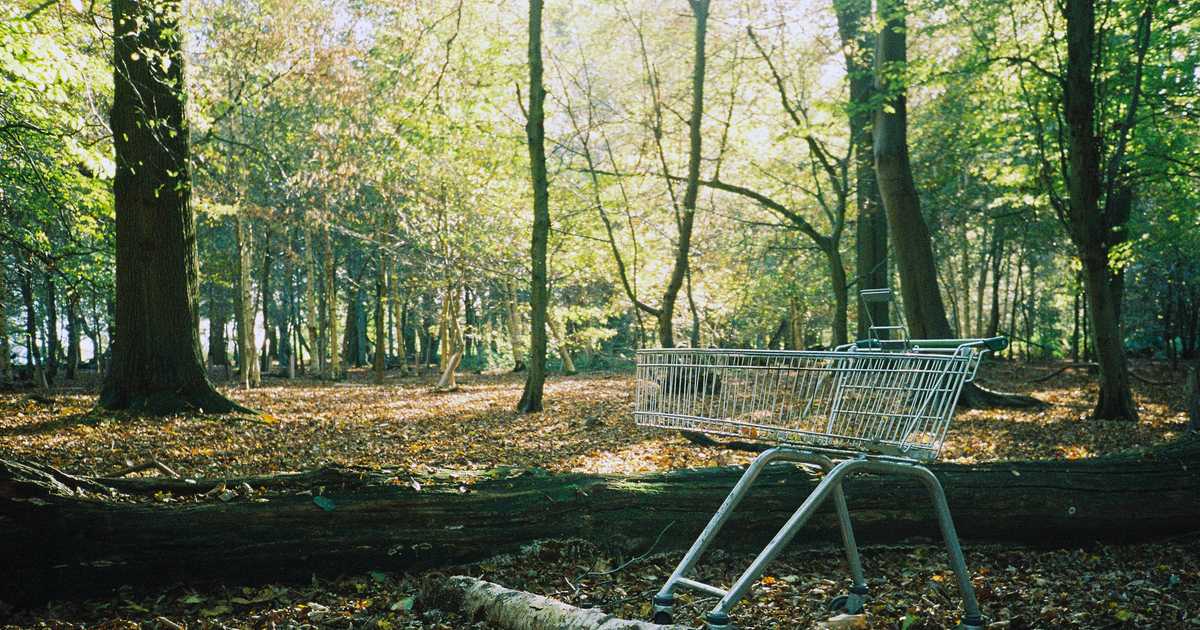 Fetch Customer Group & More in a BigCommerce Widget » Jack Harner